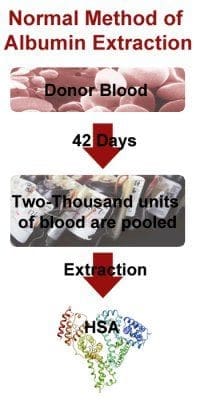 Information About Recombinant Albumin | Albumin Bioscience